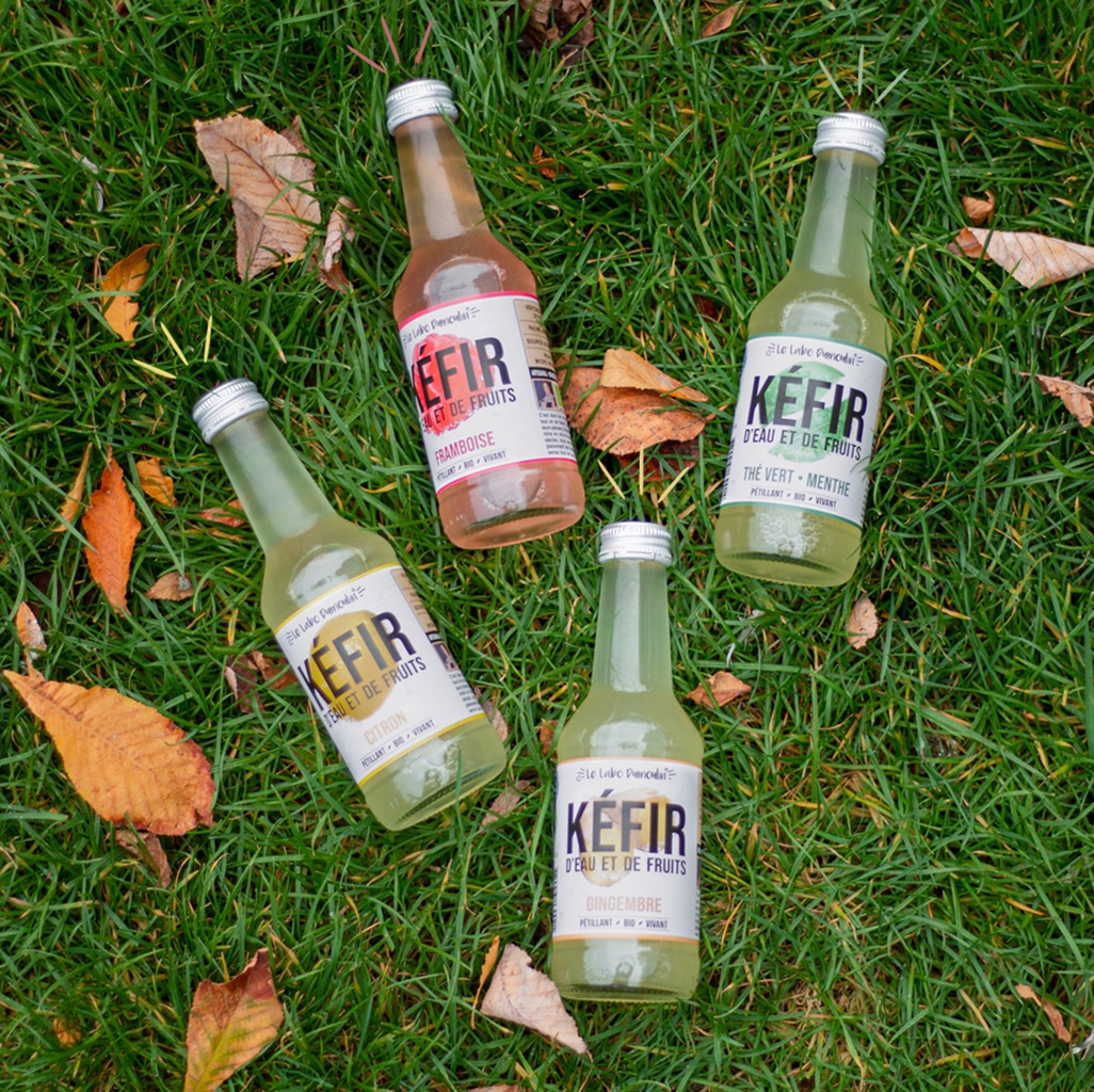 Kéfir de fruits bio - Le Labo Dumoulin