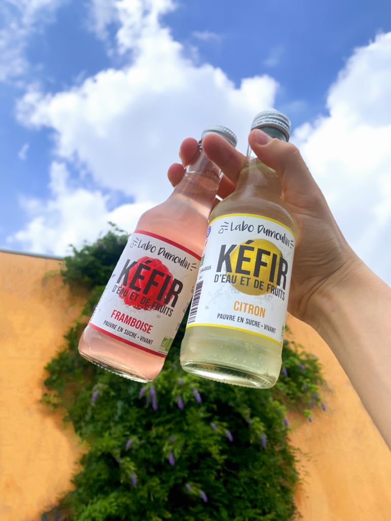 Fabricant de kéfir de fruits - Le Labo Dumoulin